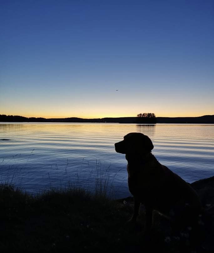 SOMMARBILDEN