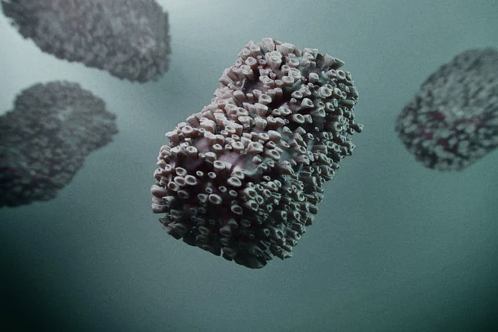 Sjukvården i Västmanland redo att behandla apkoppor